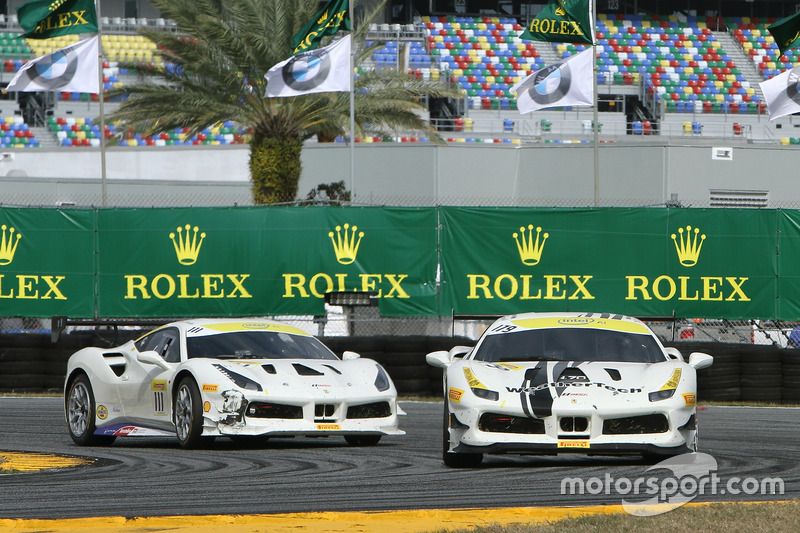 David MacNeil-nieuws, bio, foto's, video's en meer